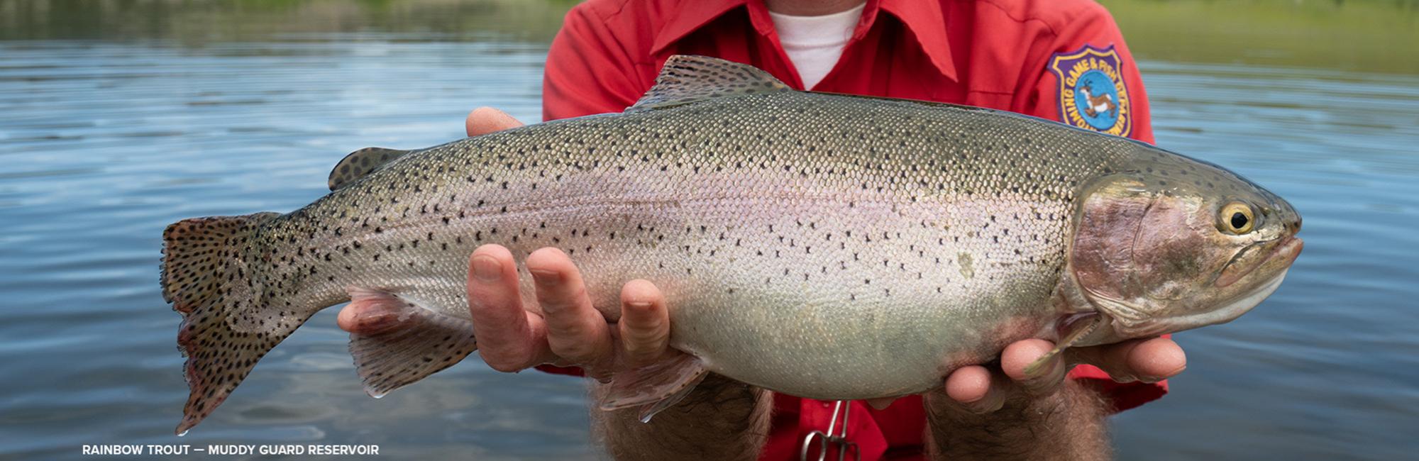 Webinars | North Central Climate Adaptation Science Center